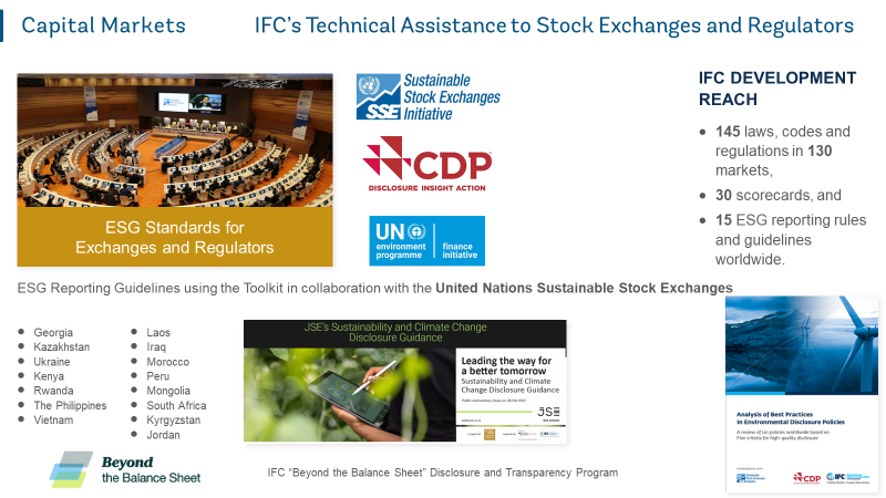 Más allá del balance: herramientas de divulgación y transparencia | IFC Beyond the Balance Sheet